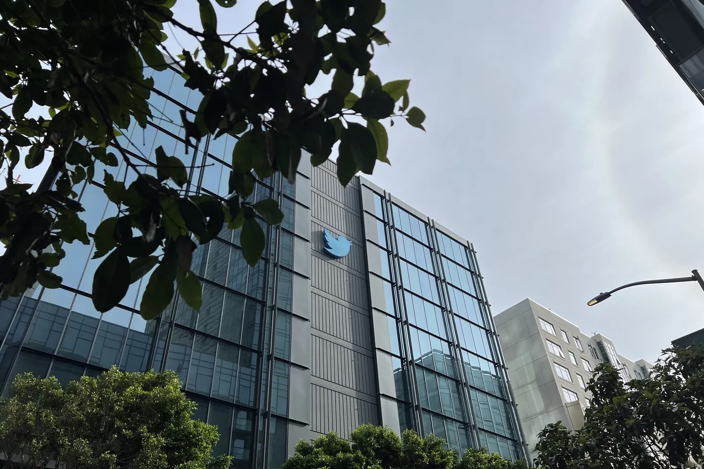 馬斯克大動作裁員,推特 Twitter 全球員工該何去何從? 電子商務時報